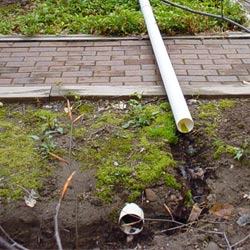 Why Choose Sump Pump Installation?