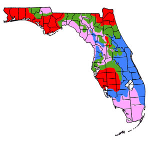 Sinkhole Repair in Saint Petersburg, Tampa, Orlando, FL | Sinkhole ...